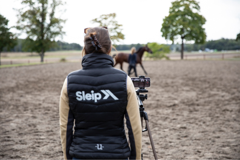 Blogs, tutorials, webinars about objective gait analysis for equine vets