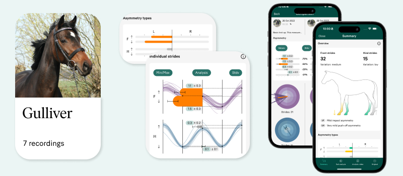Blogs, tutorials, webinars about objective gait analysis for equine vets