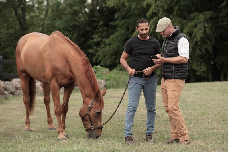 Joop Loomans: How to use objective gait analysis tech in equine veterinary practice – and charge ...