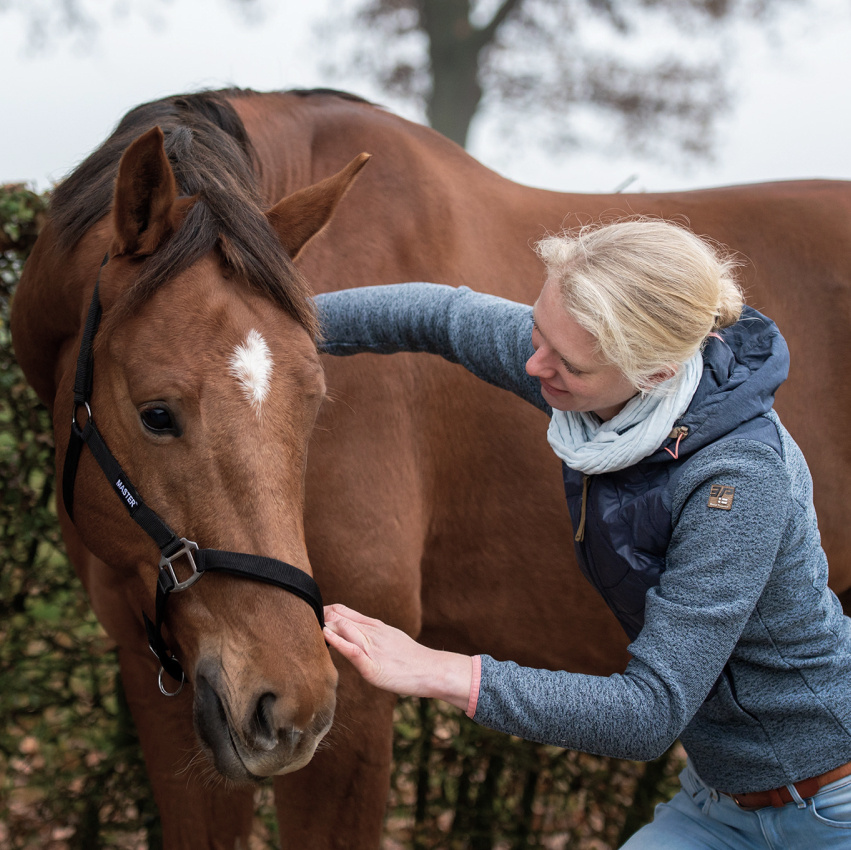 Sleip – Scientifically validated equine gait analysis app