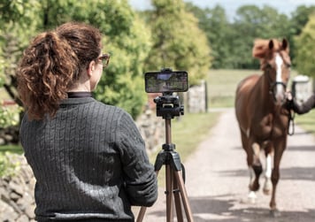 Objective gait analysis in equine lameness exams: MoCap vs. IMU vs. Sleip